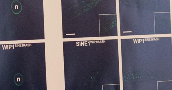 Life Sciences Interdisciplinary Graduate Programs Symposium | Molecular ...